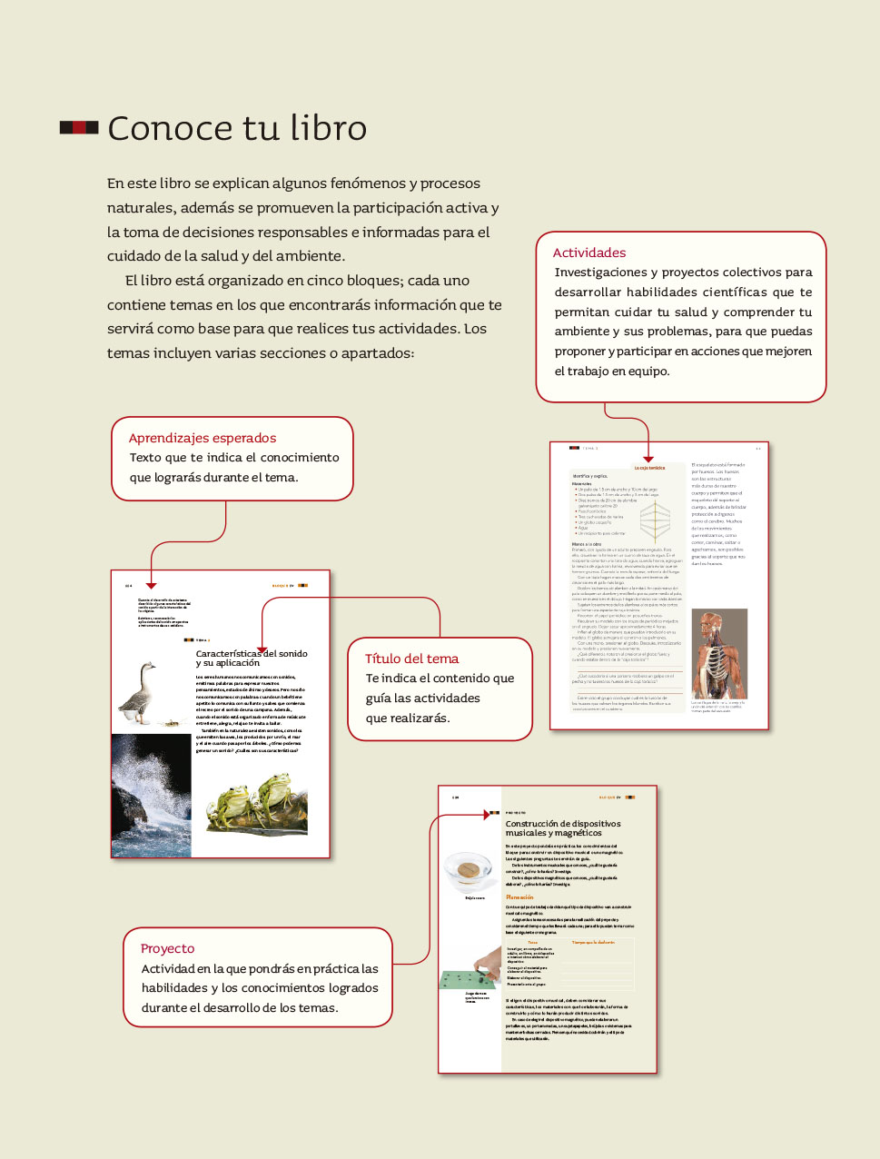 Ciencias Naturales Tercer Grado 20172018 Ciclo Escolar