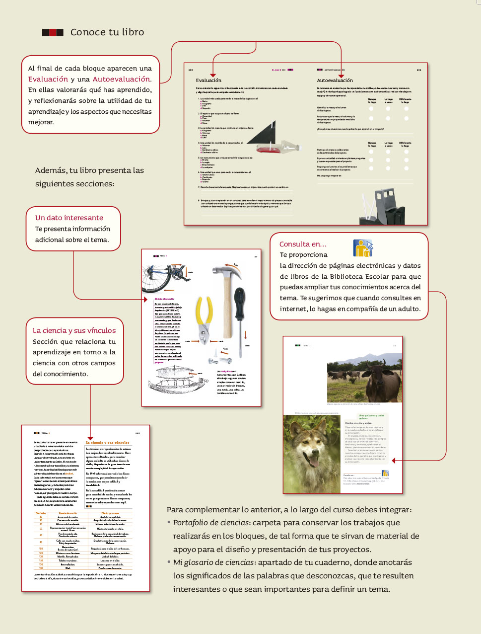 Ciencias Naturales Tercer Grado 20172018 Ciclo Escolar