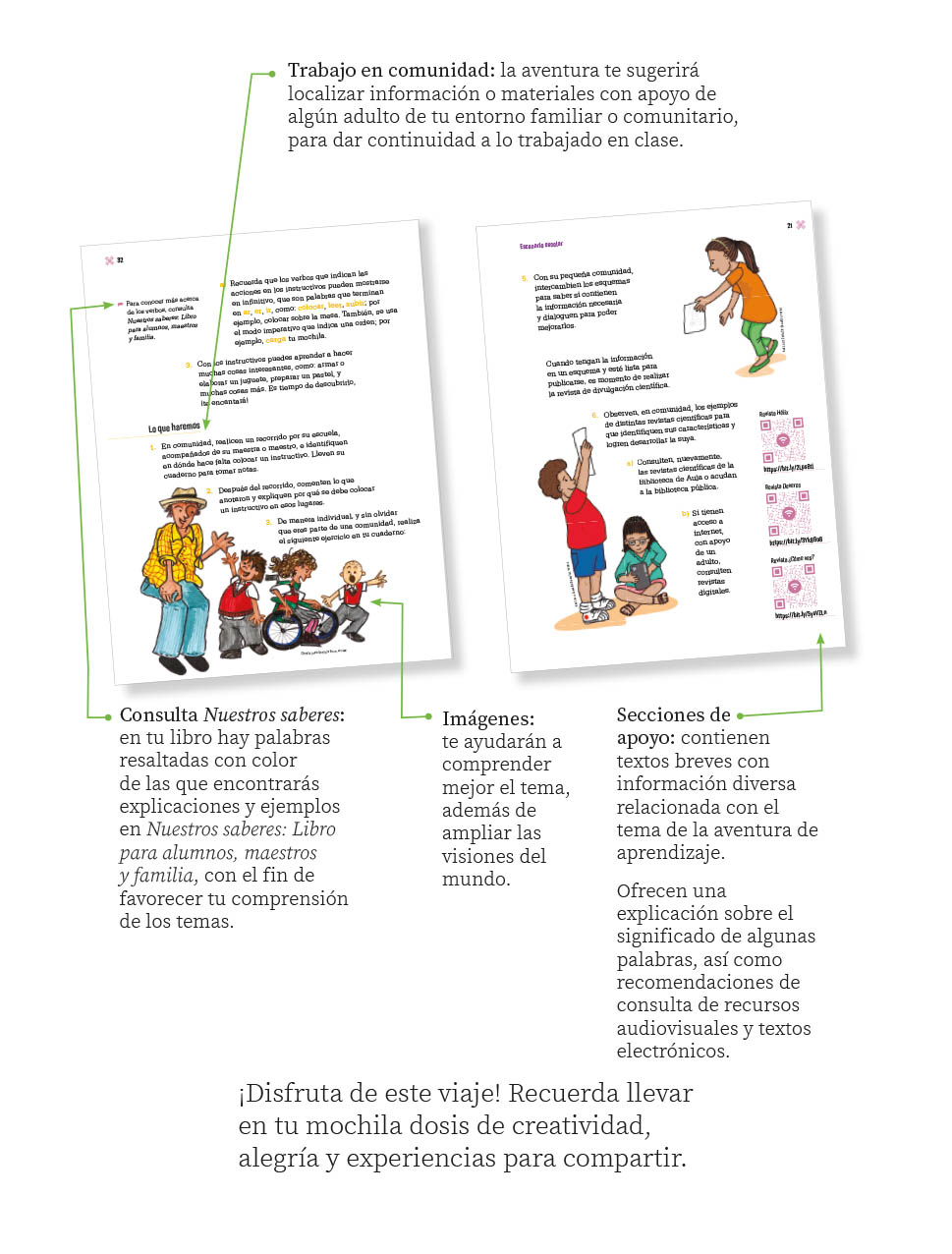 Descarga El Libro Proyectos Escolares De Tercer Grado